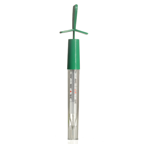 Shabbos Thermometer | The Key Belt